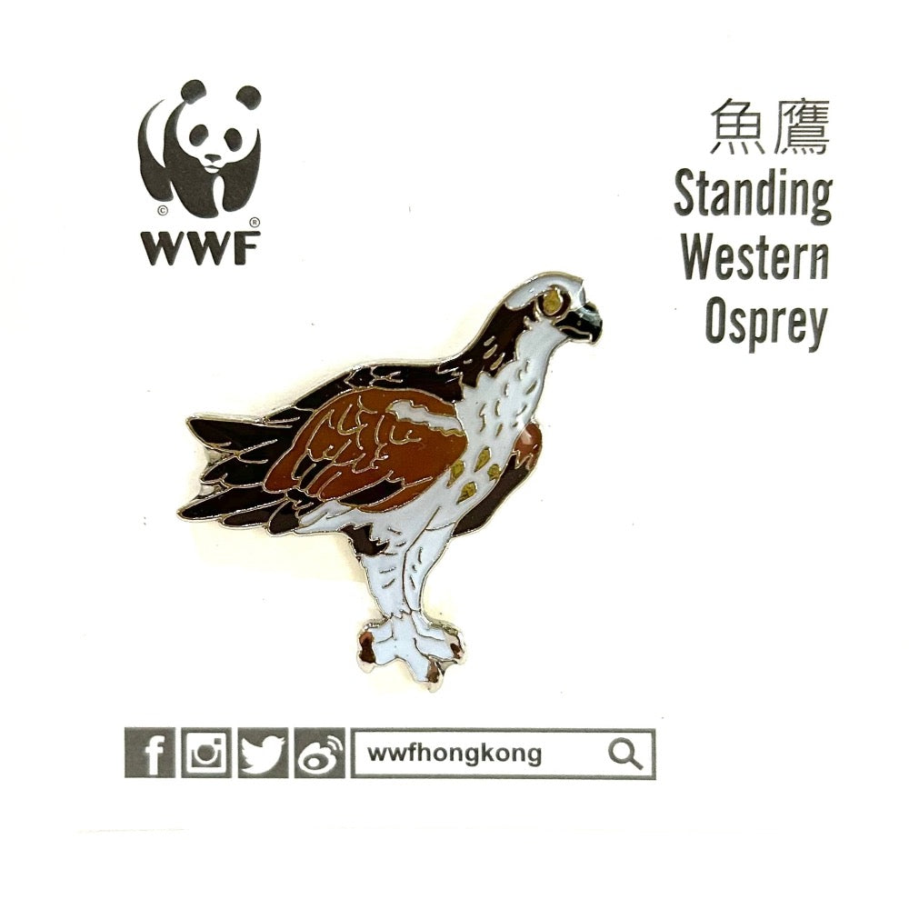 We WEAR – Panda Shop