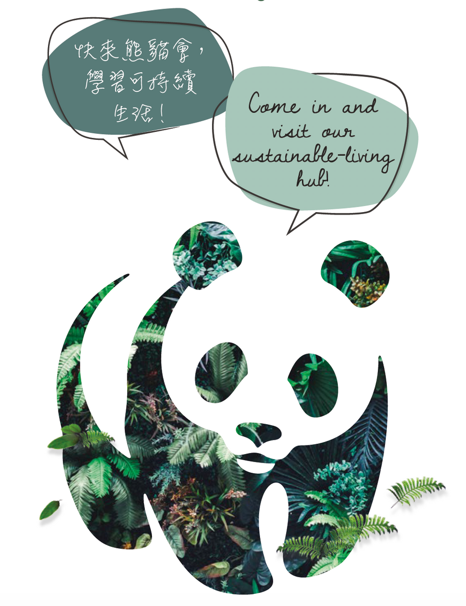 Collections – Panda Shop